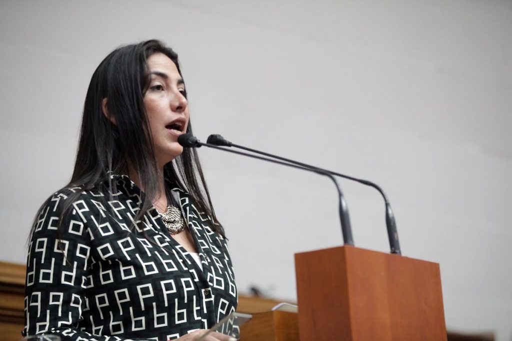 Diputada Pichardo: En manos del régimen se ha profundizado la violación ...